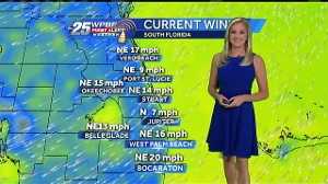 Taylor's Video Forecast