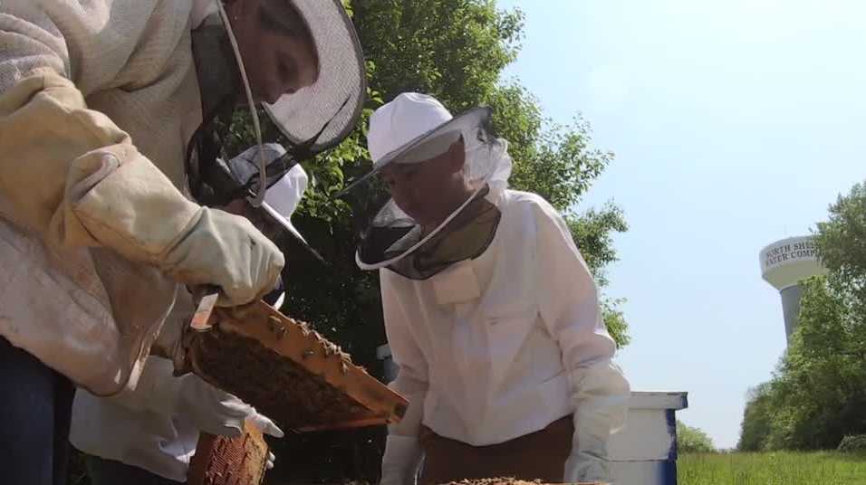 Shelbyville school teacher using beekeeping as teaching tool