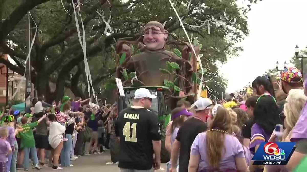 New Orleans council meeting discussing Mardi Gras incidents