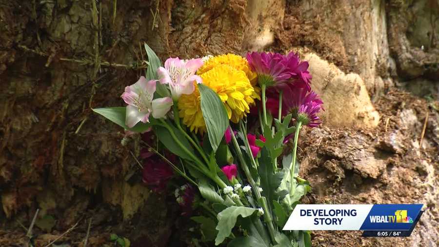 Teen who died in Baltimore County crash remembered by peers
