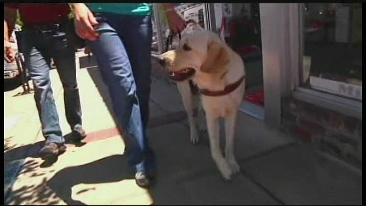Guide dog hero