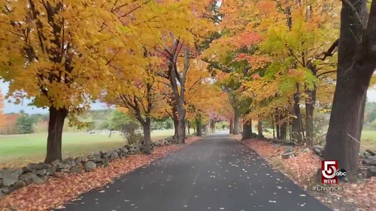 It's cider season in New England at Carlson Orchards