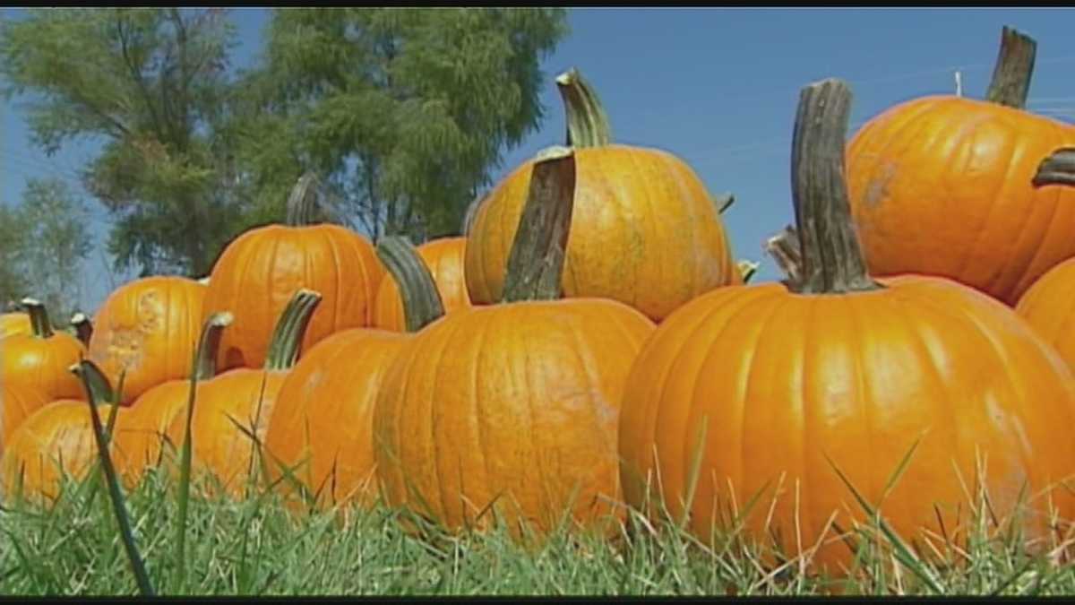 Planned pumpkin patch move draws neighbors' ire