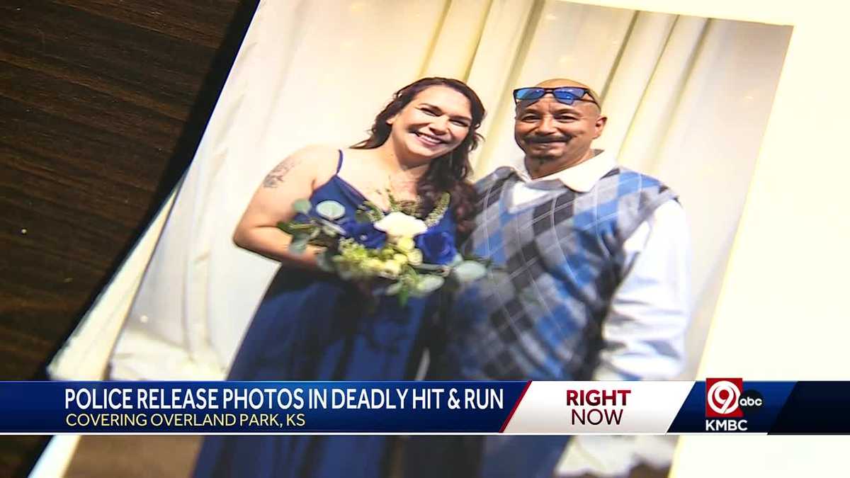 Police, family seek information on fatal pedestrian crash on I-435