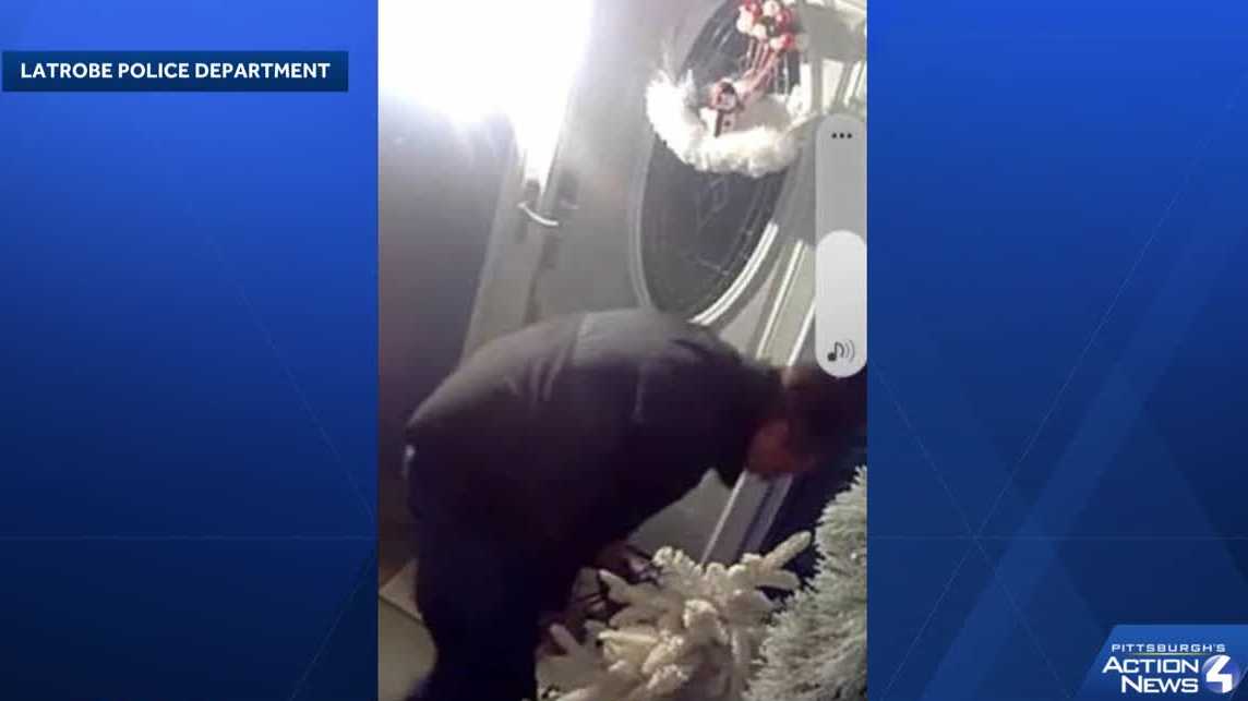 Latrobe police search for suspect in Christmas tree theft