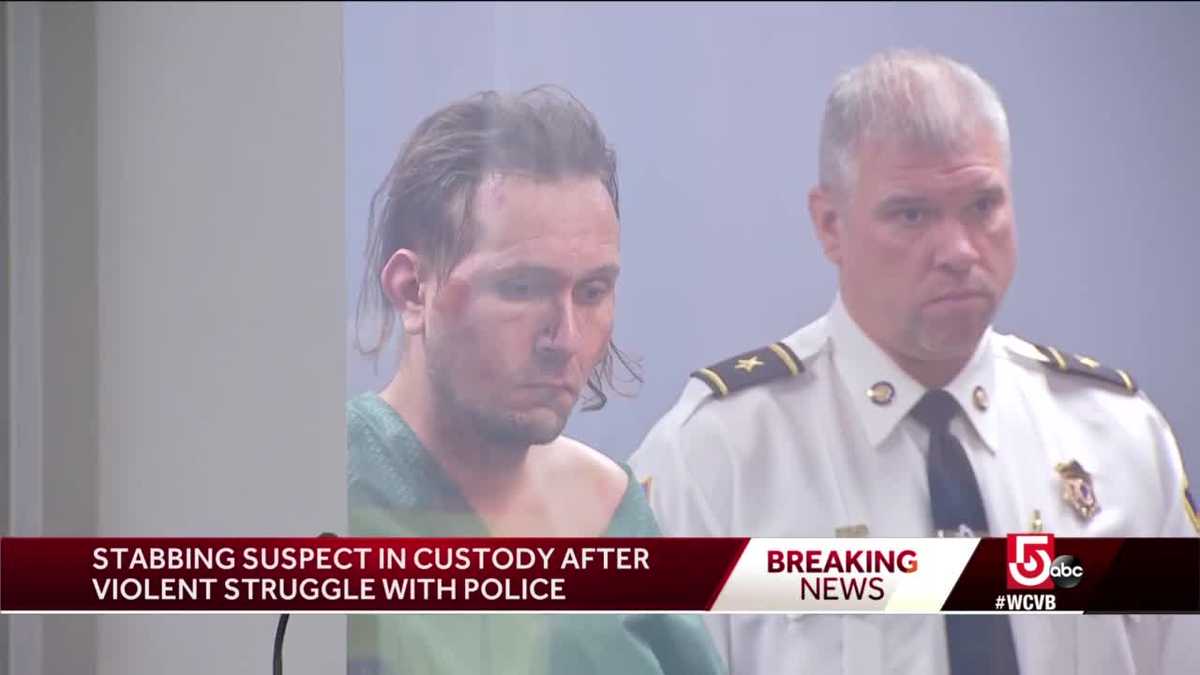 Stabbing suspect in custody after 'violent struggle' with police