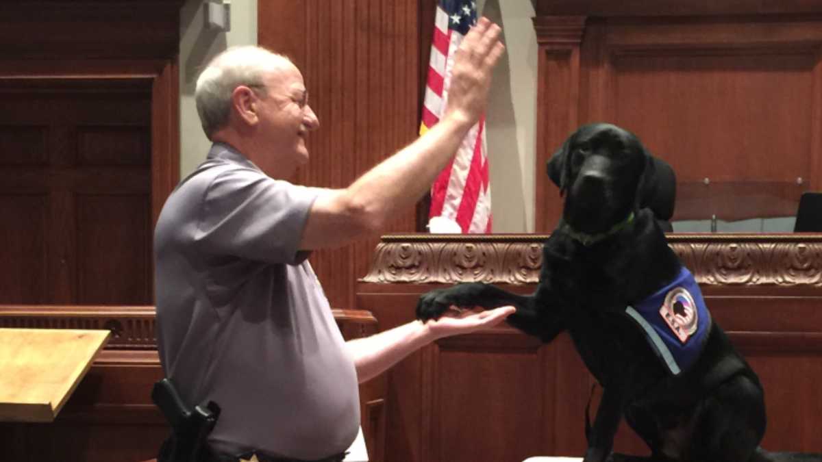 Calhoun County deputizes dog