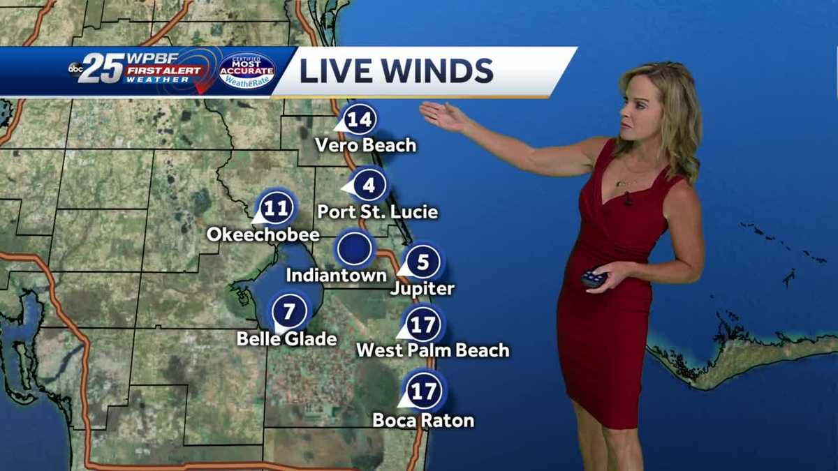Windy Day Ahead for South Florida