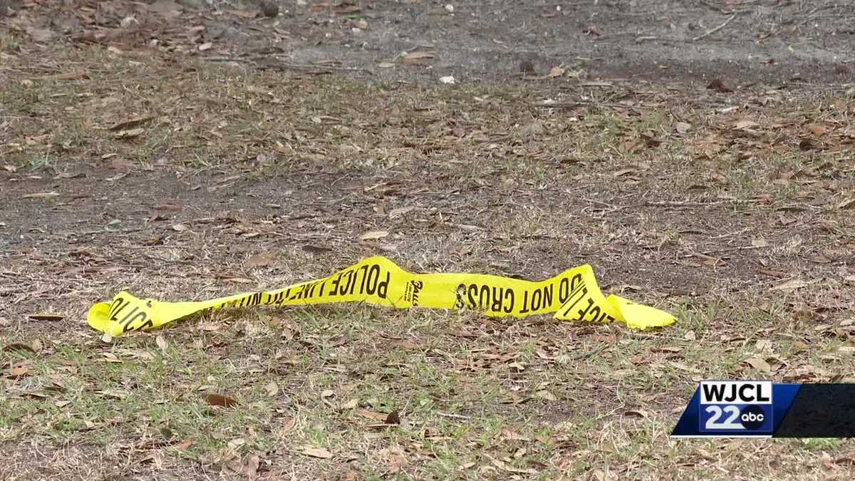 Georgia: Coroner identifies man found shot, dead in road