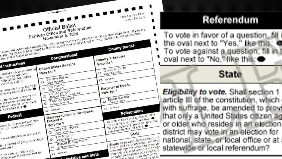 Statewide referendum on November's ballot, what does it mean?