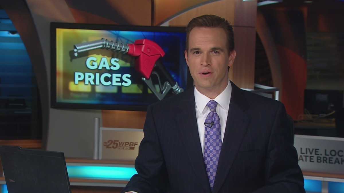 Tony Luke, Jr.: Bringing the taste of South Philly to South Florida