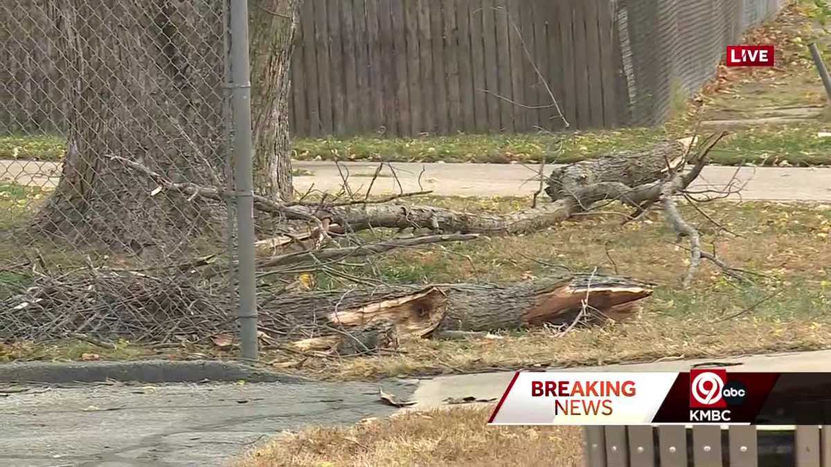 Pleasant Hill hospitalized injured after tree falls