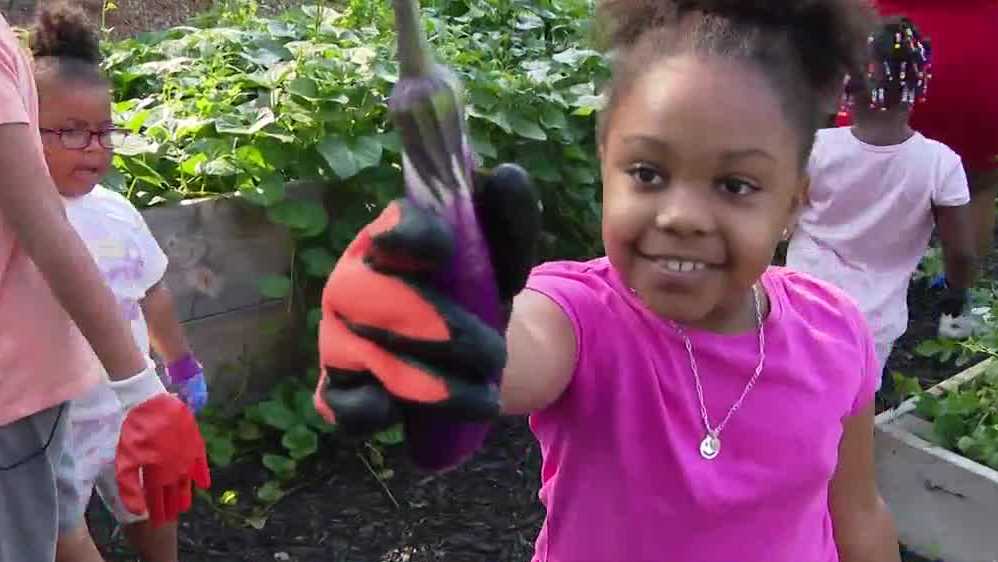 Summer program teaches kids to harvest, cook vegetables