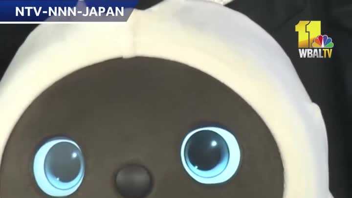 Japanese company creates robot pets
