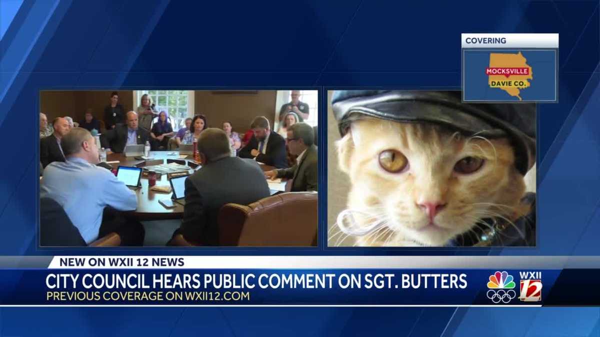 Mocksville city leaders hear public comments on removal of police ...