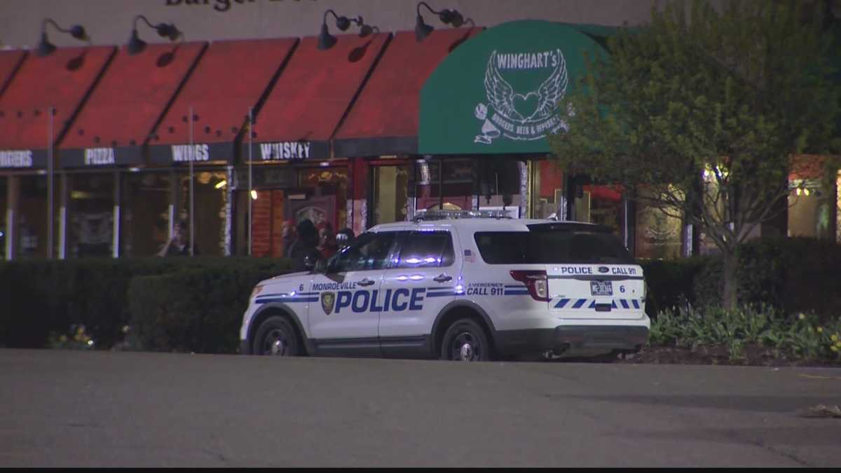 Police respond to disturbance in Monroeville involving over 500 people