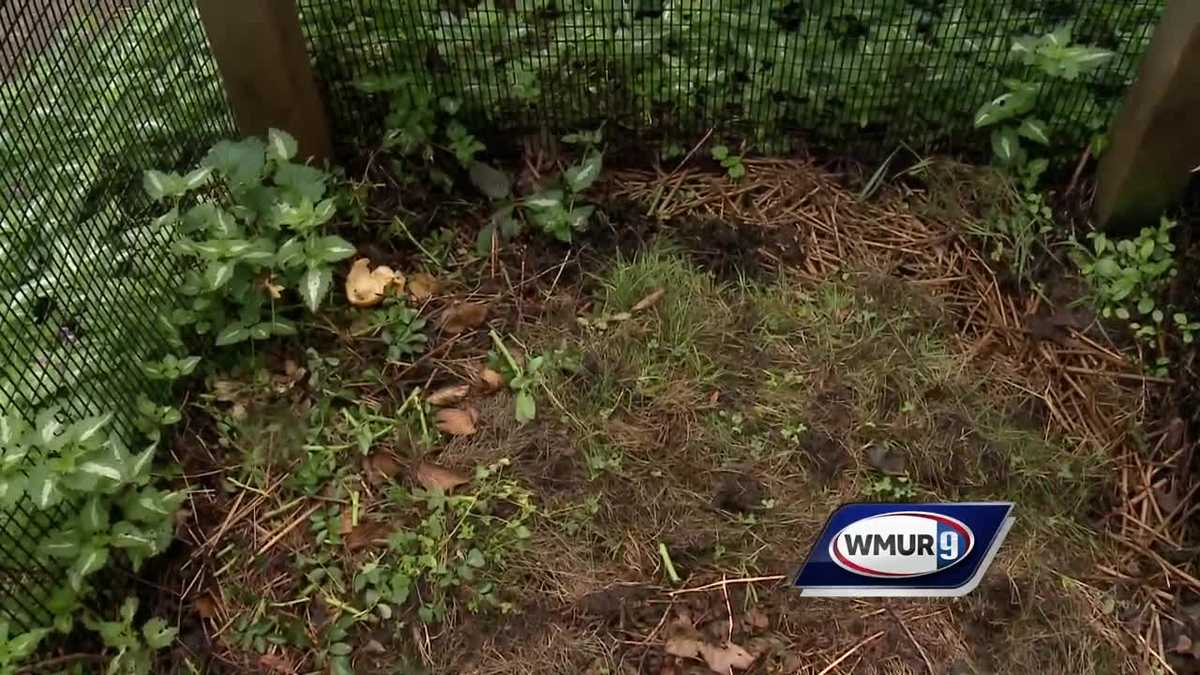 Grow it Green: Composting