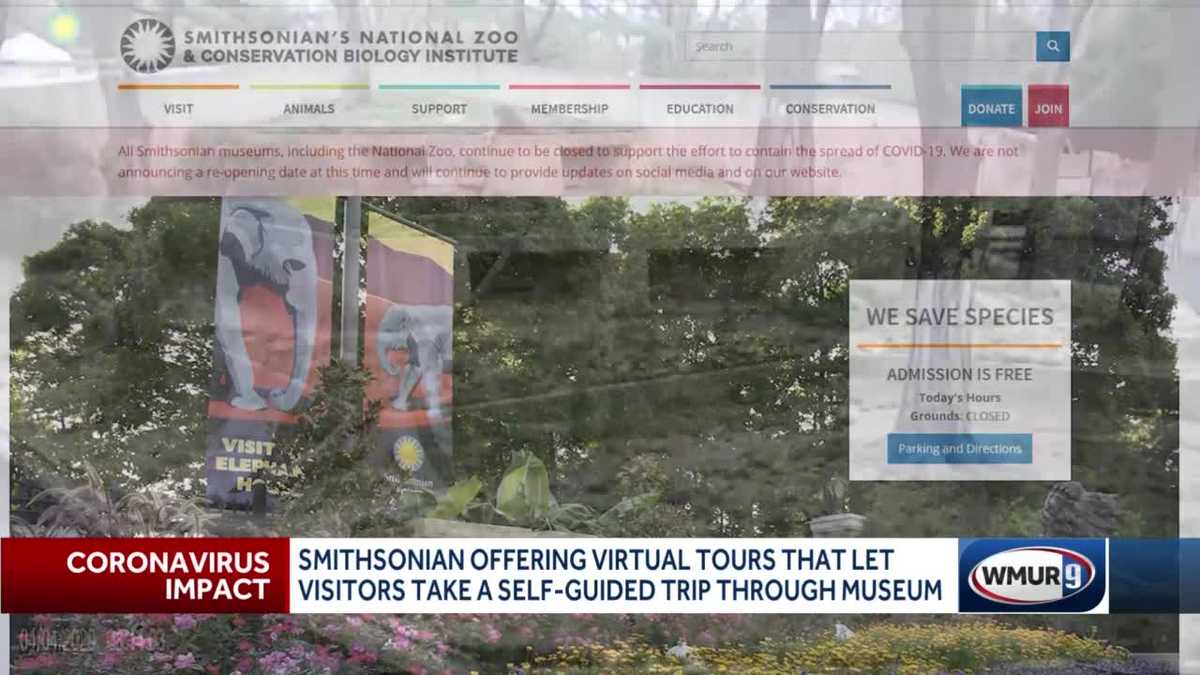 Virtual DC: Smithsonian Institution offering virtual tours of museums ...