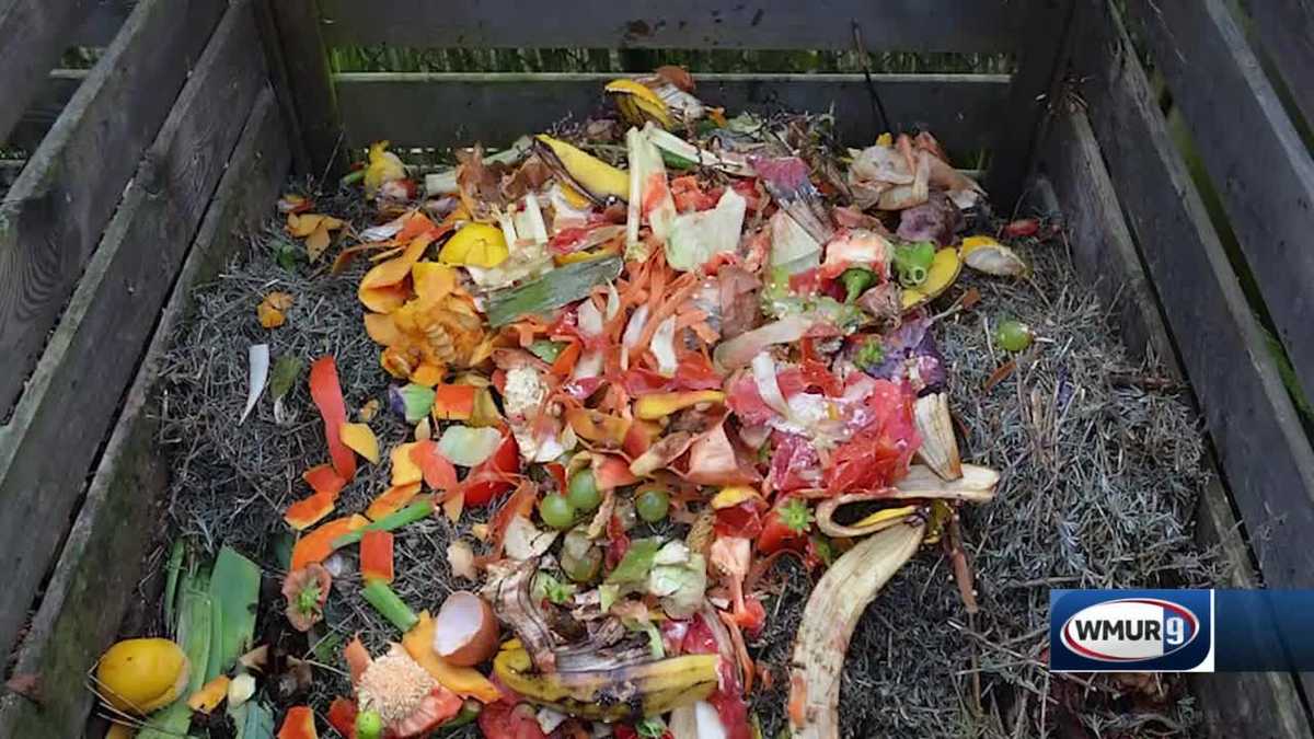 Grow It Green: Composting during winter