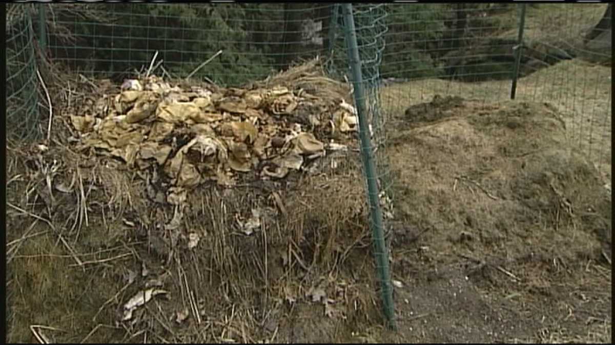 20 Gardening Tips: Dealing With Compost Smell