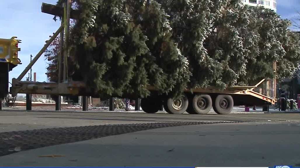 2023 Milwaukee Christmas Tree arrives to the 'Cheer' District