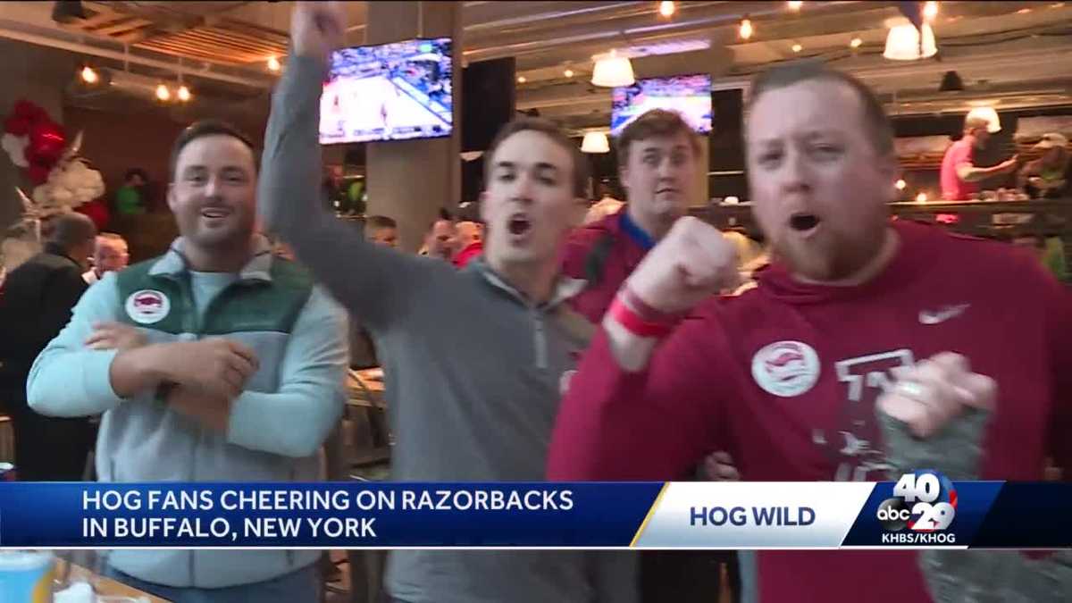 Hog fans cheer on the Razorbacks locally and in Buffalo, New York for ...