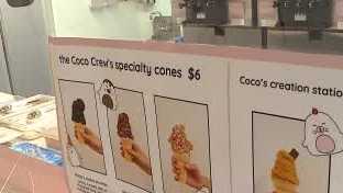 Now Serving: Countryside Cones