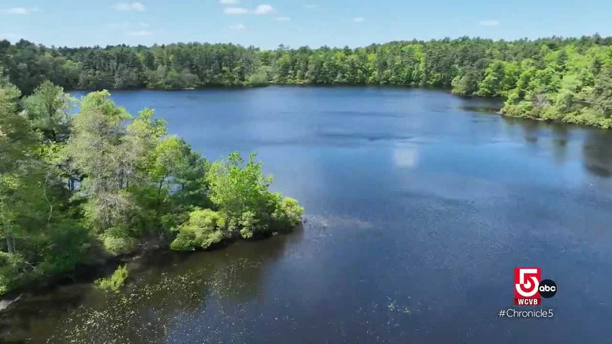 Efforts underway to preserve Muddy Pond in Kingston, Mass.