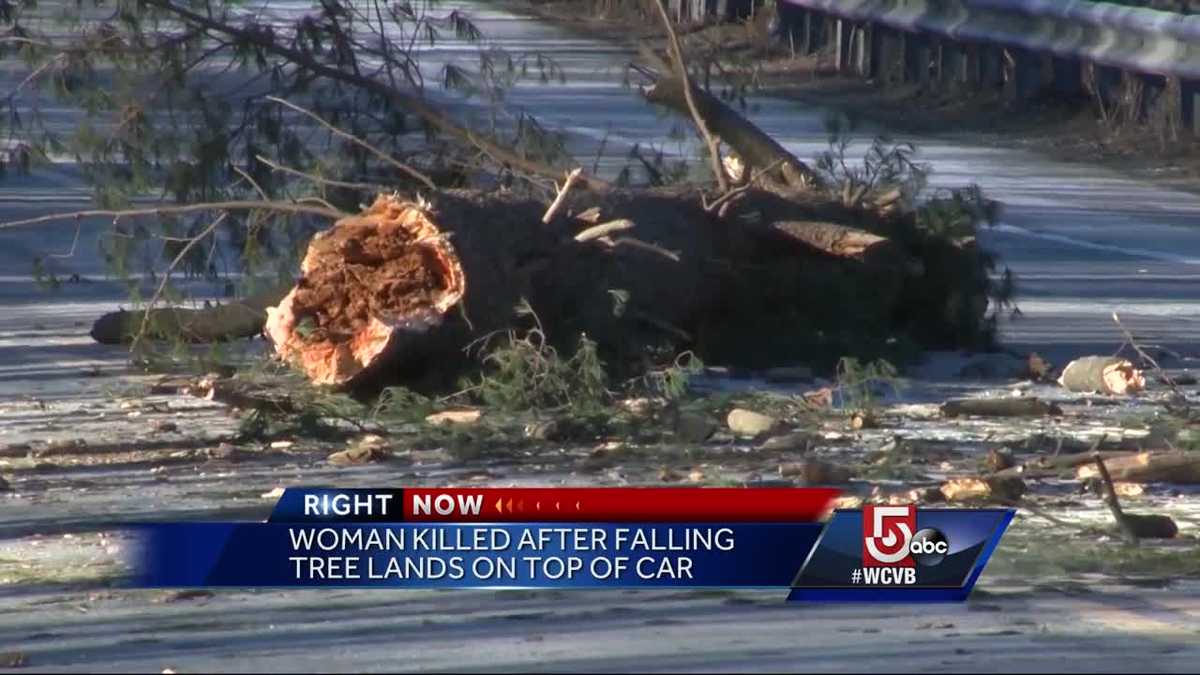 Woman killed, husband critically injured after tree lands on car