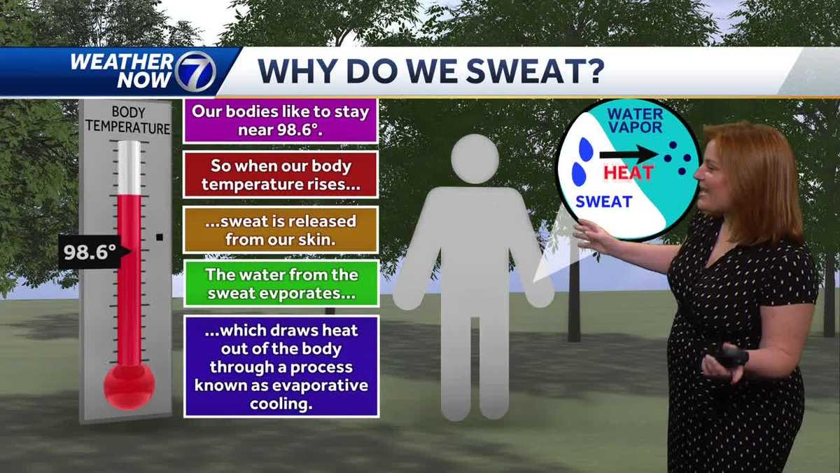KETV meteorologist explains why people sweat?