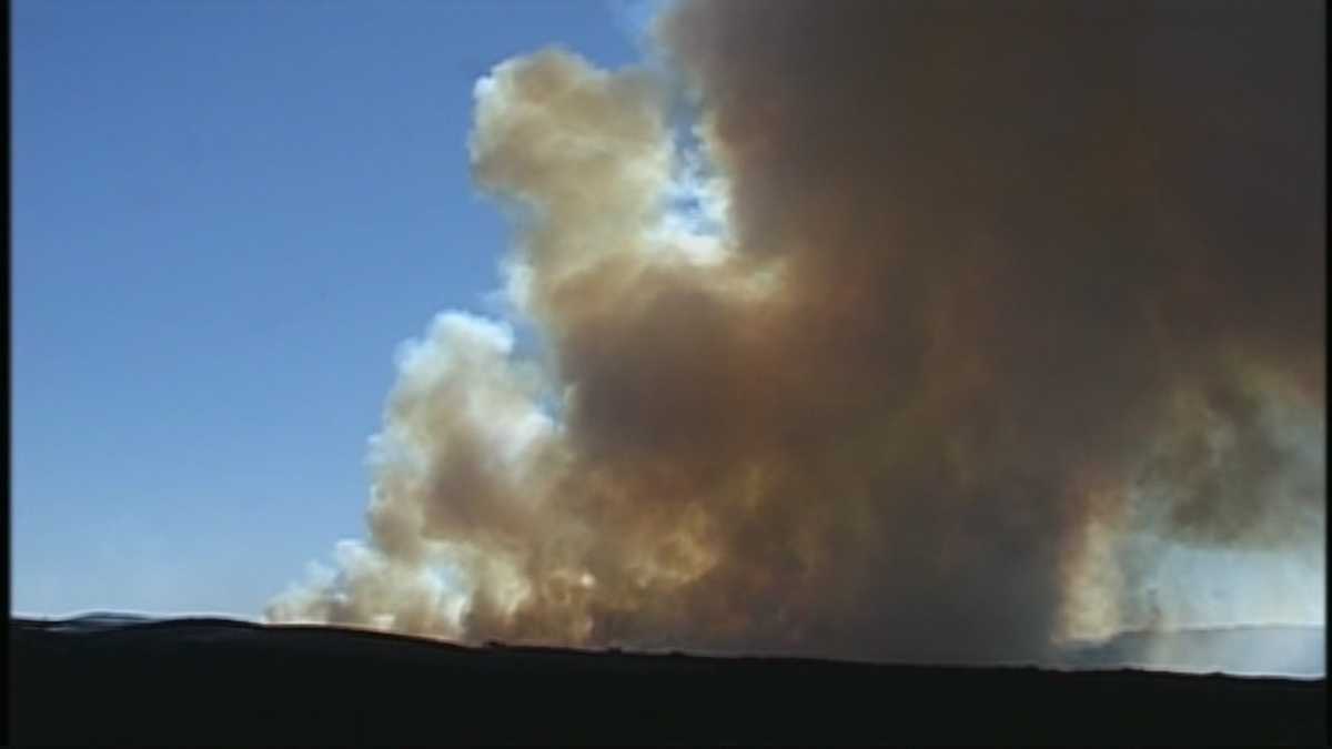 Fort Ord burn back under control after jumping fire line