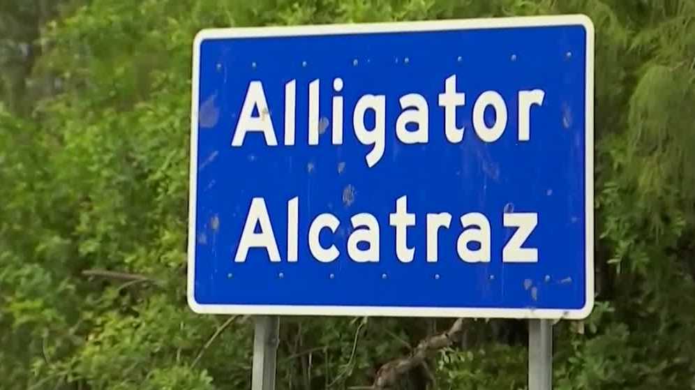 Appeals court blocks judge’s order to dismantle Alligator Alcatraz