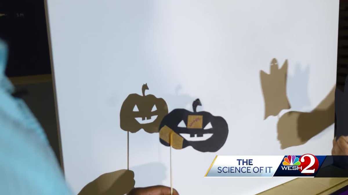 The Science of It: Shadow Puppets