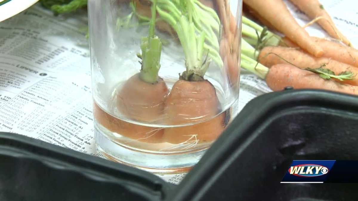 How to grow tiny crops with big nutrients by micro-gardening at home