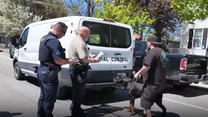 Dog attack in Manchester, New Hampshire: Child injured