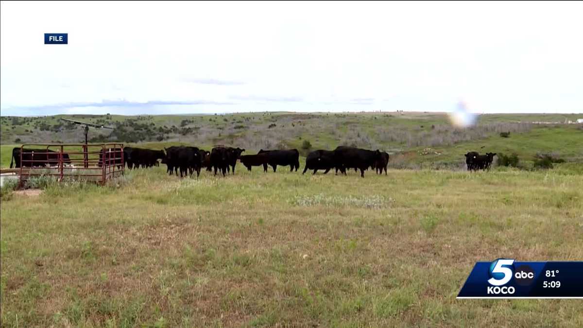 Farming accident claims life of young woman in Woods County