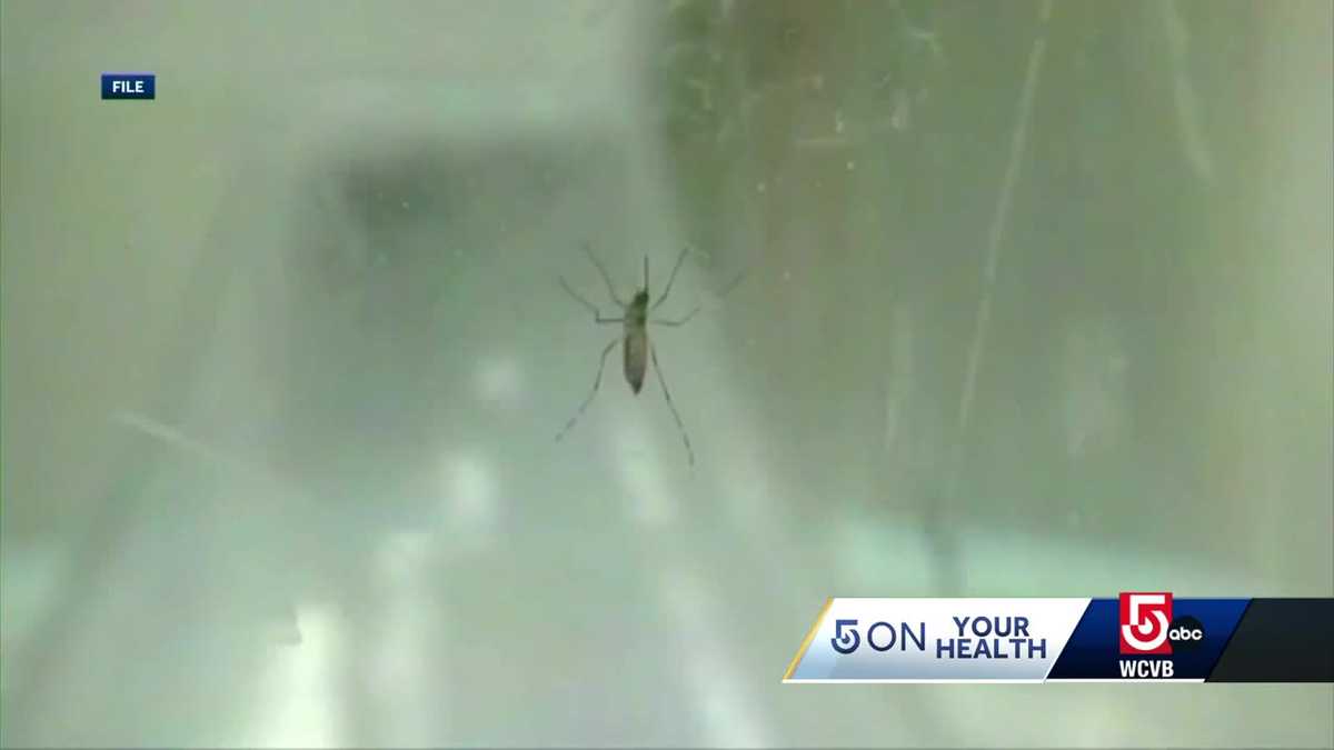 Concerns rising in Mass. over mosquito-transmitted illnesses