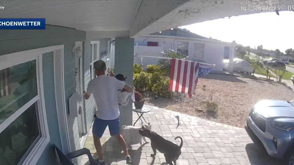 Neighbors say loose, aggressive dogs keep them on edge