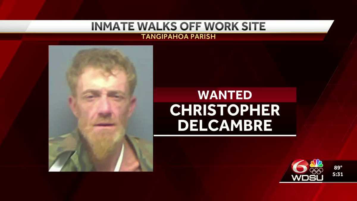 Tangipahoa Parish deputies searching for work release inmate