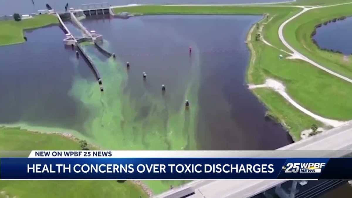 Health effects of blue-green algae