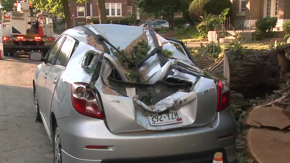 Large tree crushes car, knocks out power for thousands