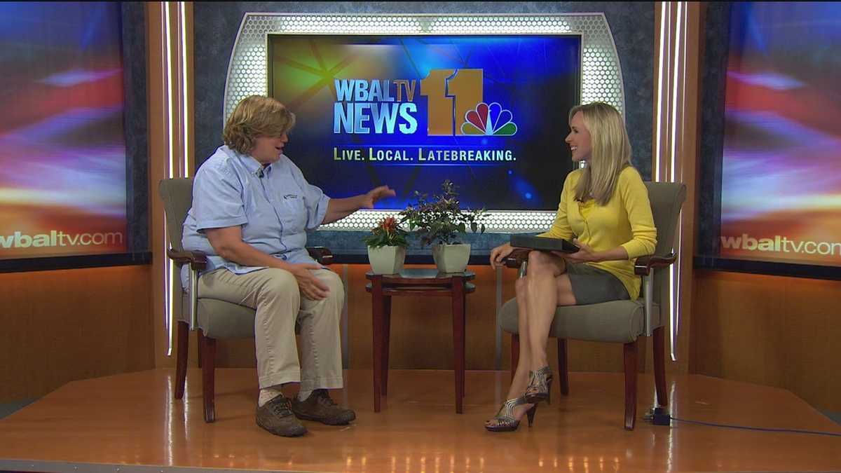 July 2: Carrie answers plant questions