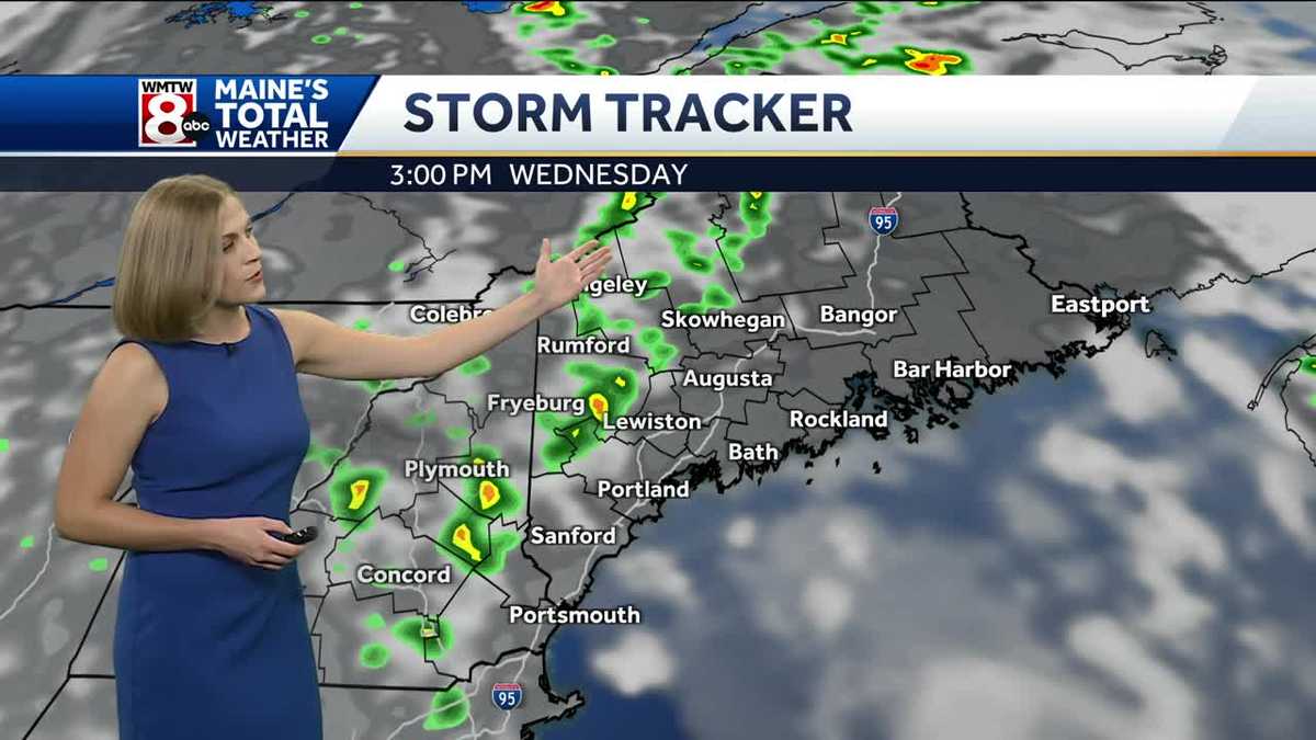 Mild with a passing shower possible