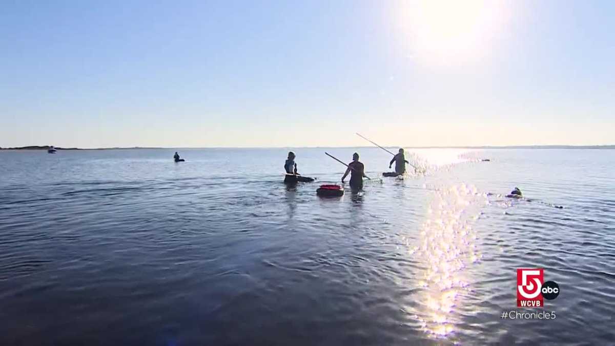 Autumn on Nantucket means scalloping season, getaways, and inspiration ...