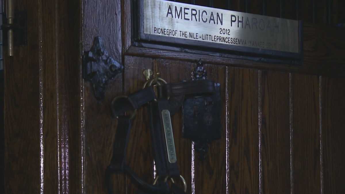 Coolmore Farm offers tours to see American Pharoah