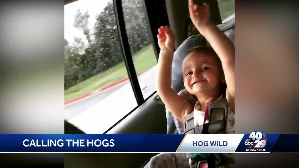 Baby calling the hogs