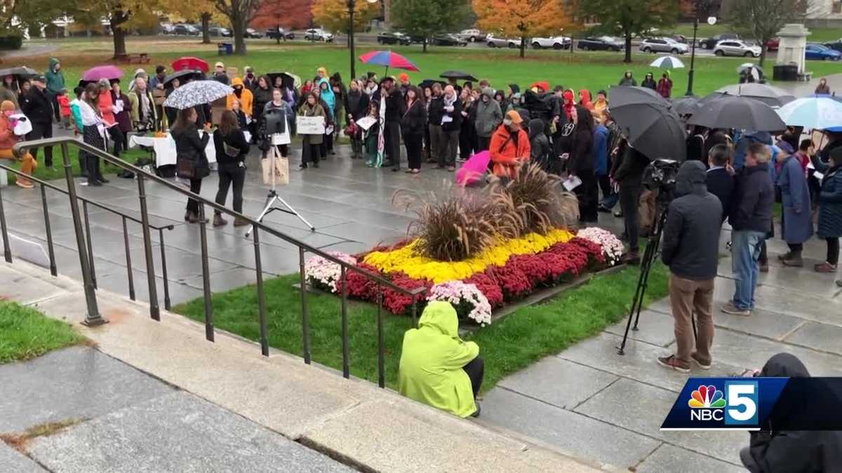 Community unites on Vermont State House steps, mourning the lives taken ...