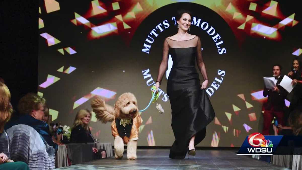 Mutts to Models Charity Gala
