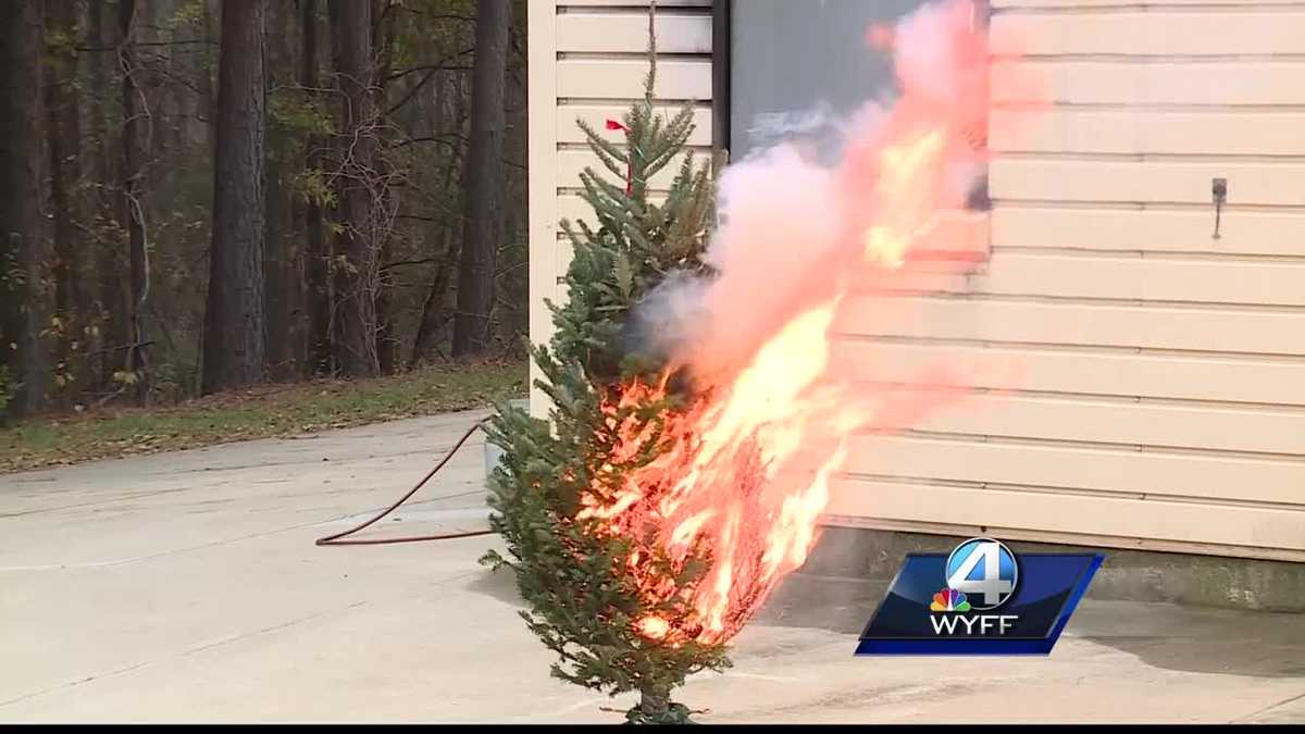 4 Your Safety: Allyson Powell fills us in on some of the dangers of the ...