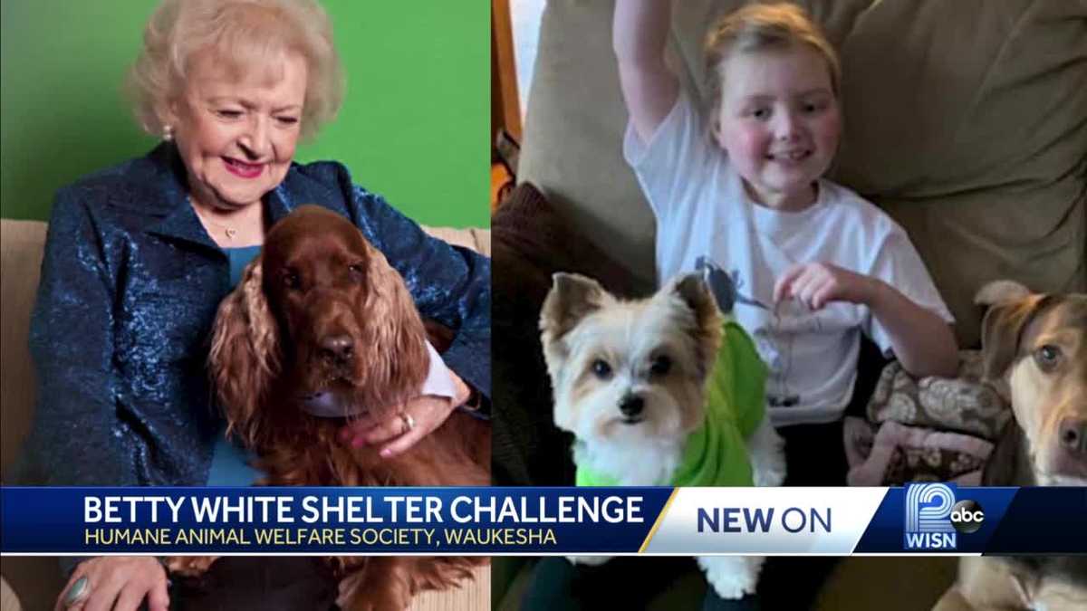 Emma Loves Dogs Foundation donates to animal shelters to celebrate ...